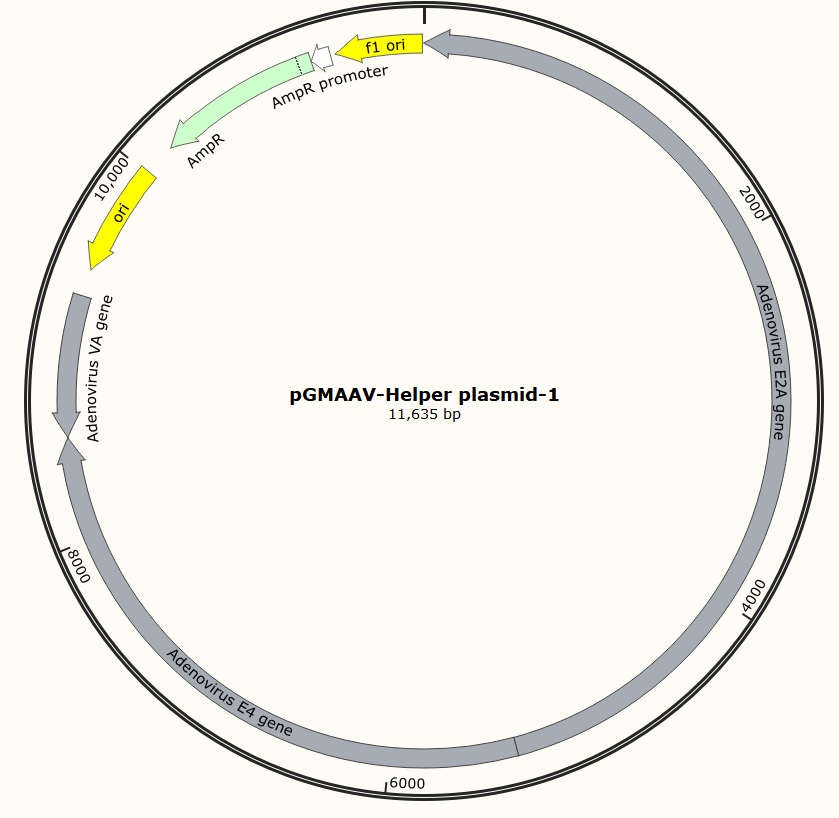 AAV vector system (AAV expression system, AAV packaging plasmid system ...