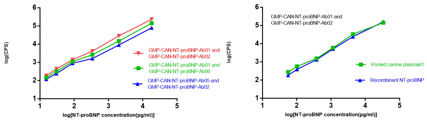 Immuno-Diagnostics Antibodies & Antigens for Veterinary Cardiovascular ...