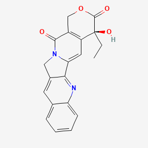 What is Anti CPT Antibody | Anti Payload Antibody