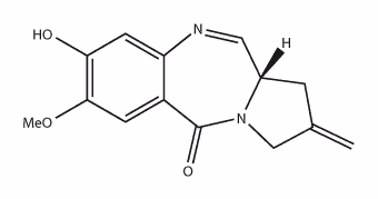 What is Anti-PBD Antibody| Anti payload antibody