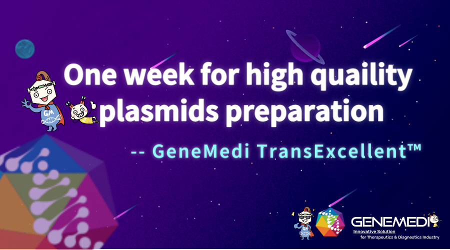 Pre-made anti-SGK3 monoclonal antibody(mab)-benchmark antibody for ...